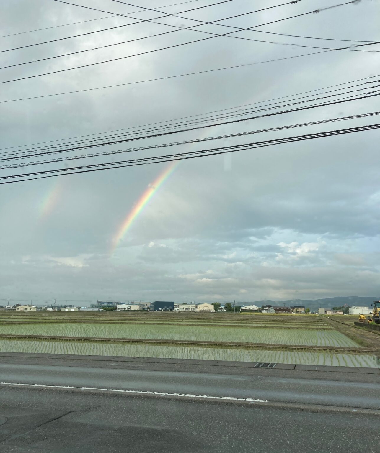 つい撮っちゃいます – ずっこけ革命戦士たちの奮闘日誌 | Granzella